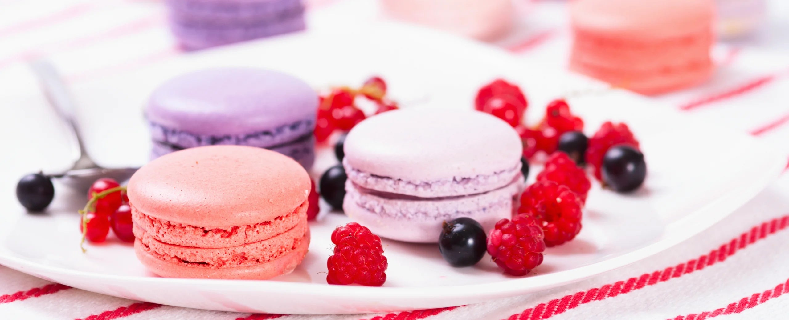 Bulk and Wholesale Spring Baking Ingredients & Supplies – Bakers Authority