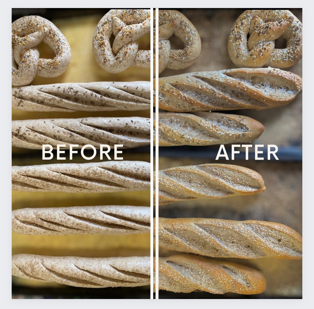 Bulk Bakery Ingredients - Wholesale Distributors – Bakers Authority