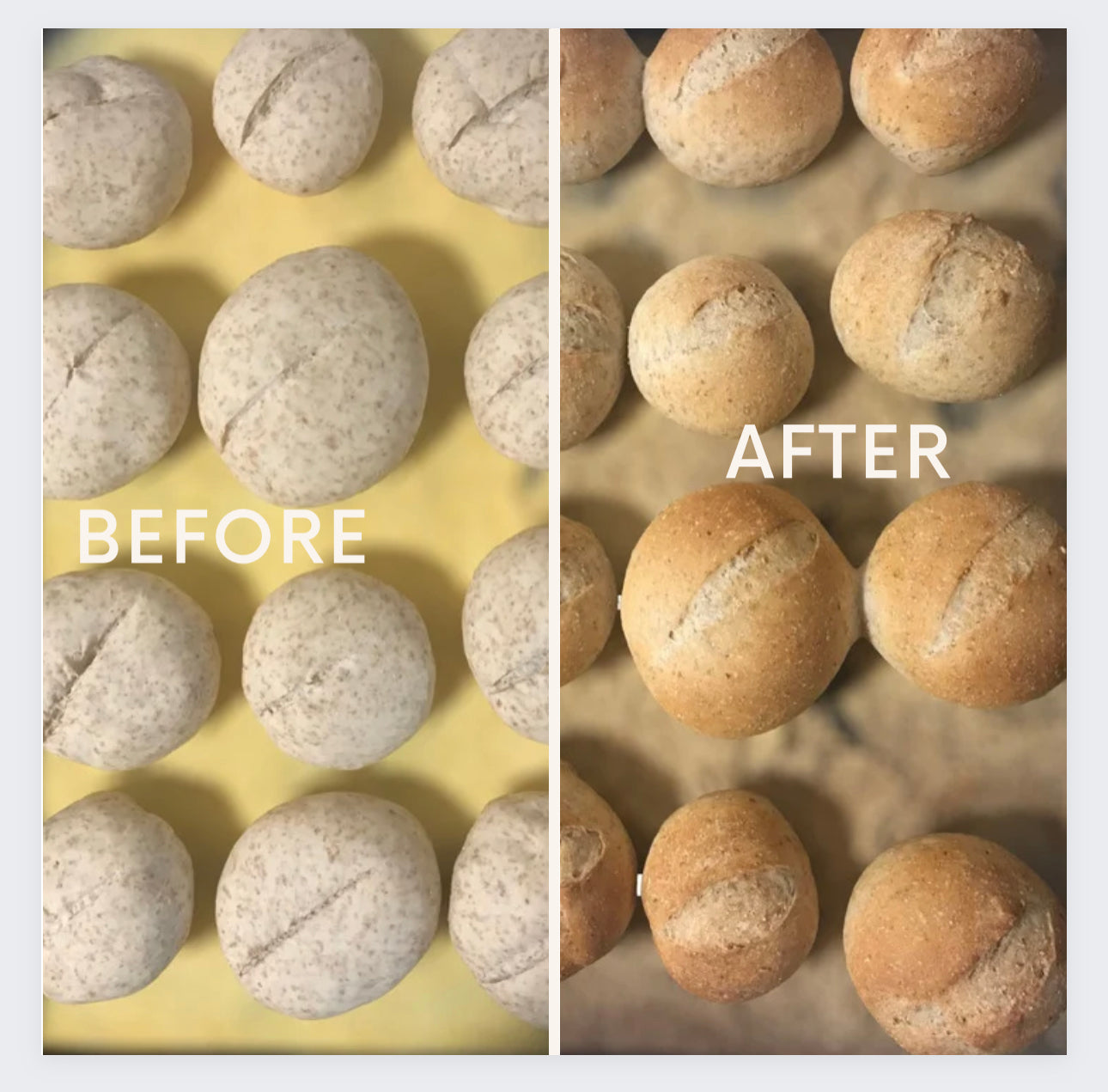 Bulk Bakery Ingredients - Wholesale Distributors – Bakers Authority