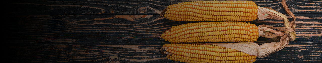 Corn Syrup - Bulk at Wholesale Prices – Bakers Authority