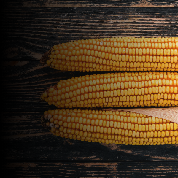 Corn Syrup - Bulk at Wholesale Prices – Bakers Authority