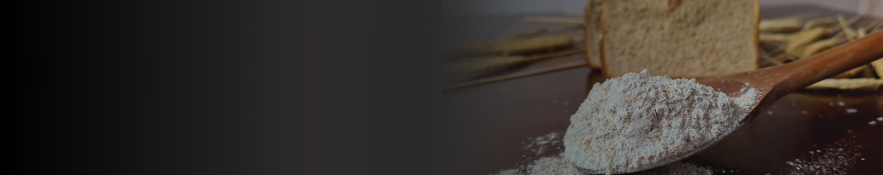 Rye Flours - Bulk for Bakeries or Home Use – Bakers Authority