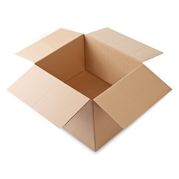Open Cardboard Box Real