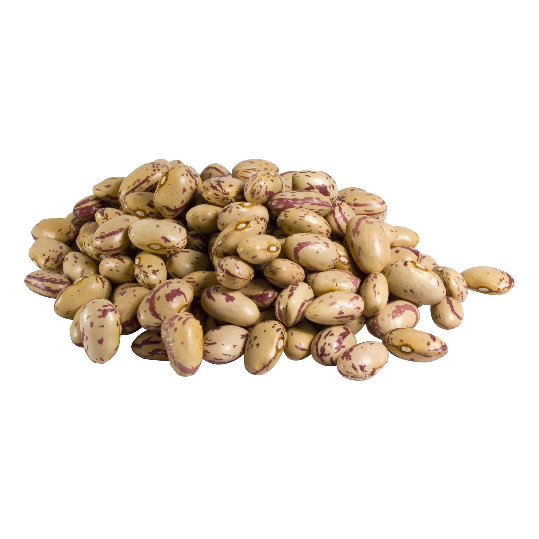 Bulk Pinto Beans - Wholesale Pricing – Bakers Authority