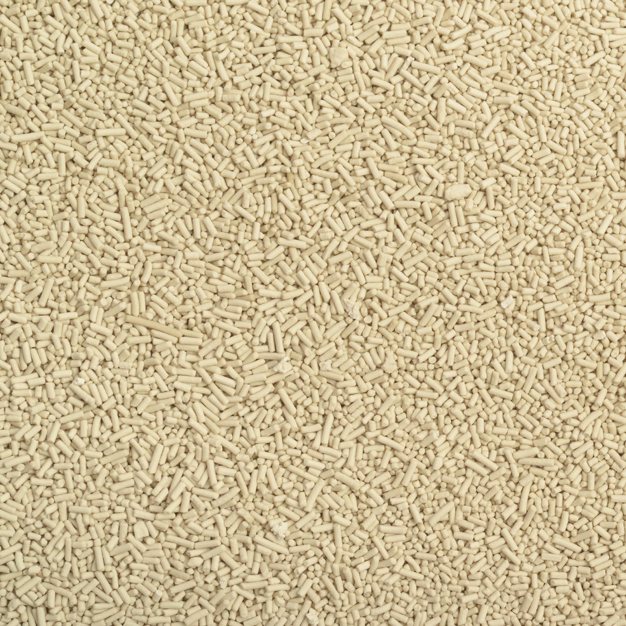 Bulk SAF Instant Yeast Gold Label - Wholesale Pricing – Bakers Authority