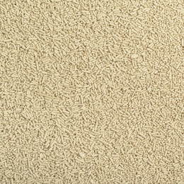 Bulk SAF Instant Yeast Gold Label - Wholesale Pricing – Bakers Authority